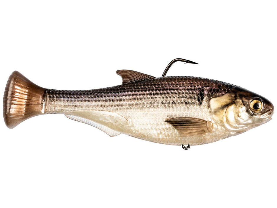 Dogfish Tackle & Marine | Welcome To Dogfish Tackle & Marine